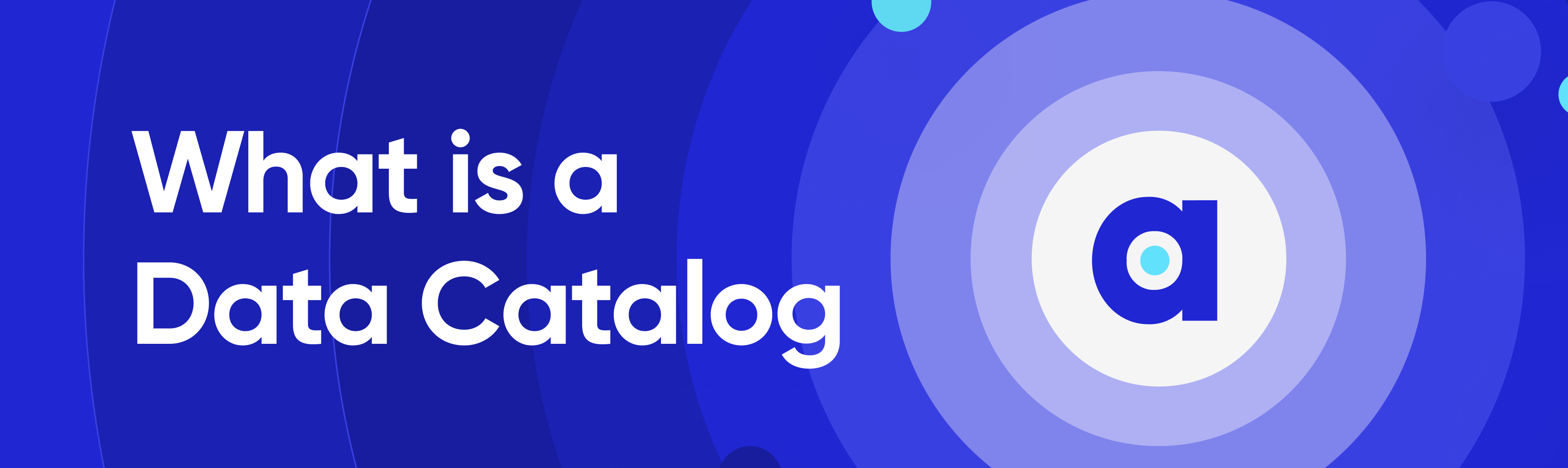 Data Catalog Guide: Examples, What to Look For, and More