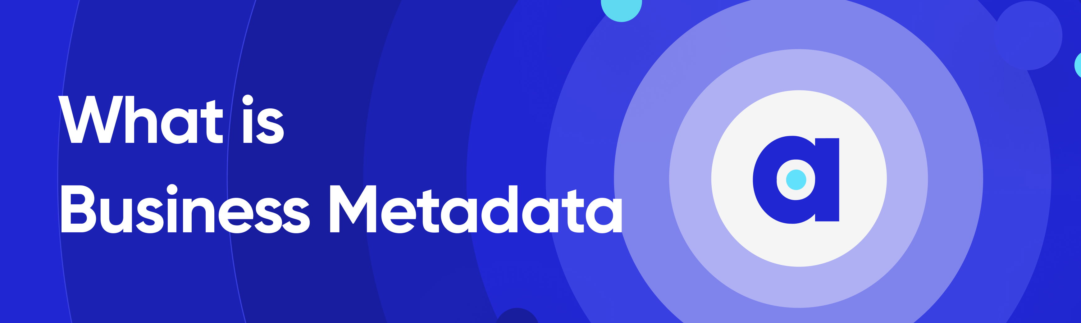 What is Business Metadata: 8 Steps for Data Excellence