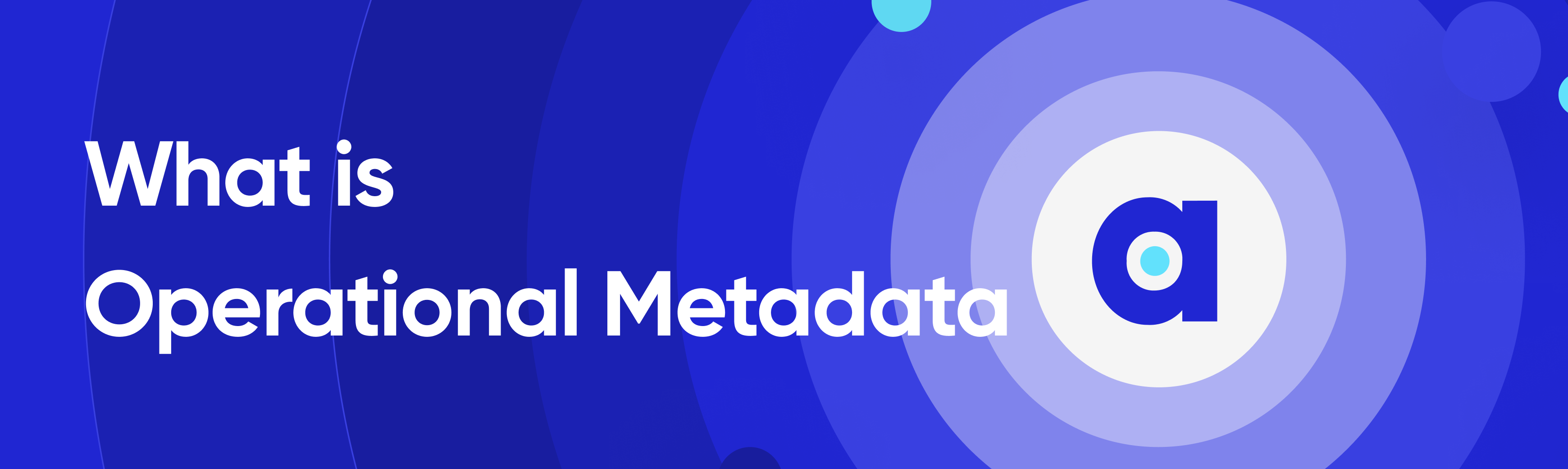What is Operational Metadata & How it Drives Success? What is Operational Metadata & How it Drives Success?