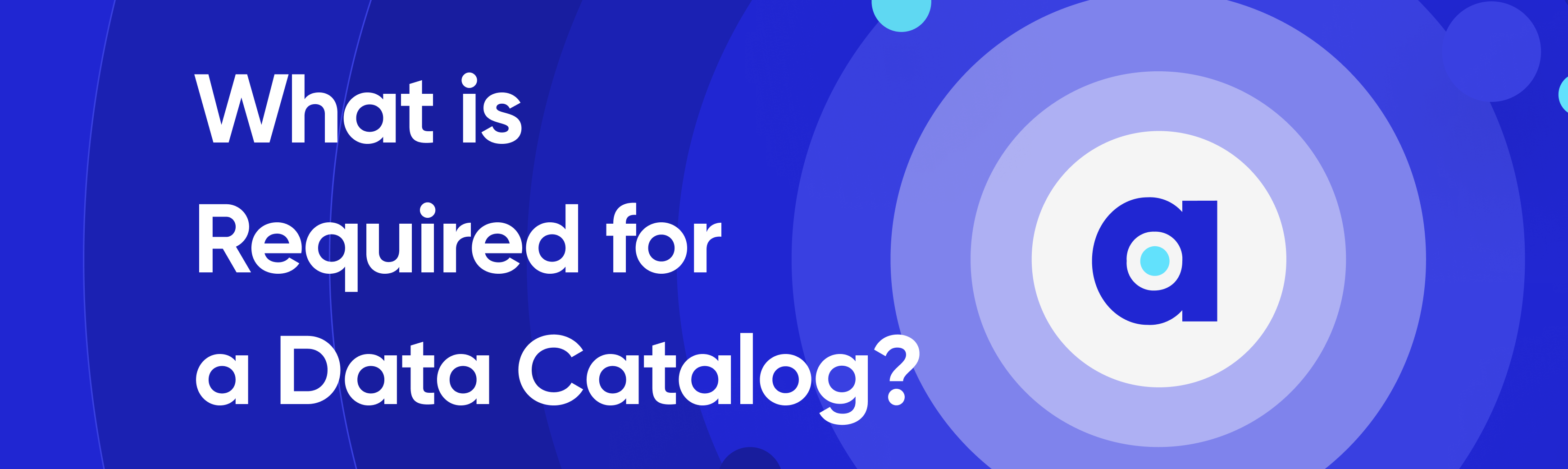 Data Catalog Requirements in 2024: A Comprehensive Guide